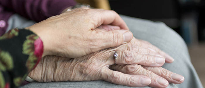 E-tjänster & blanketter